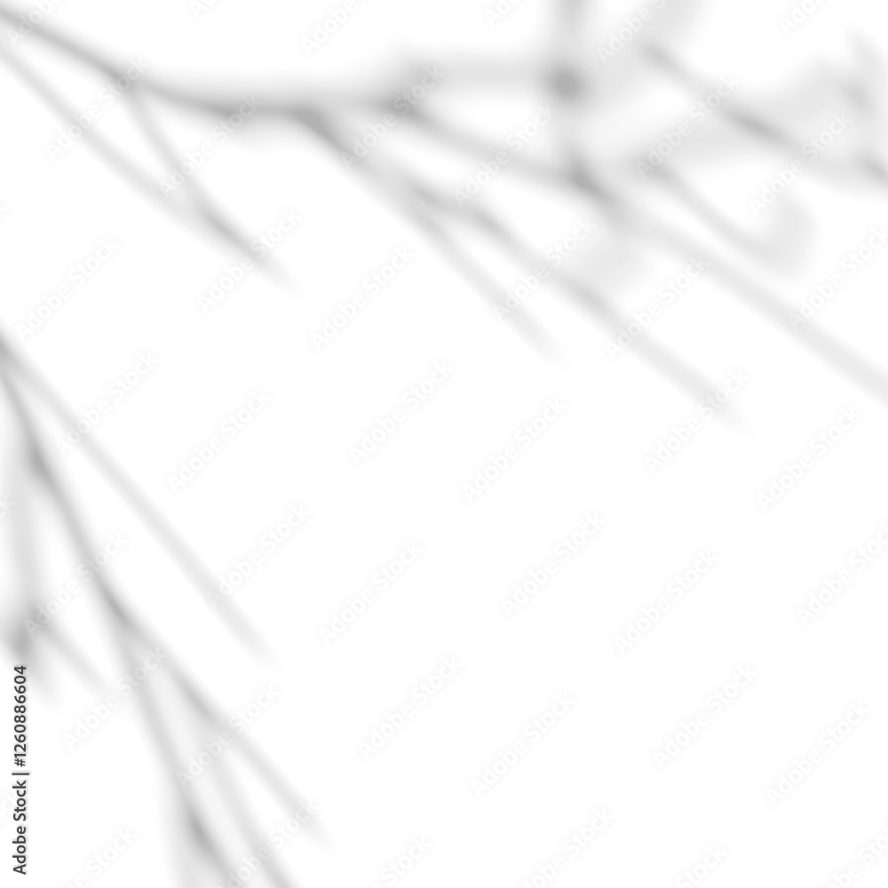 Tree Branches Shadows Gobo Effect on a transparent background, 4k UHD ...