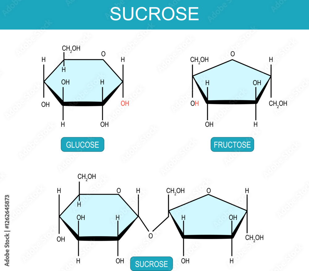 Sucrose, Fructose and Glucose molecular chemical structural formula ...