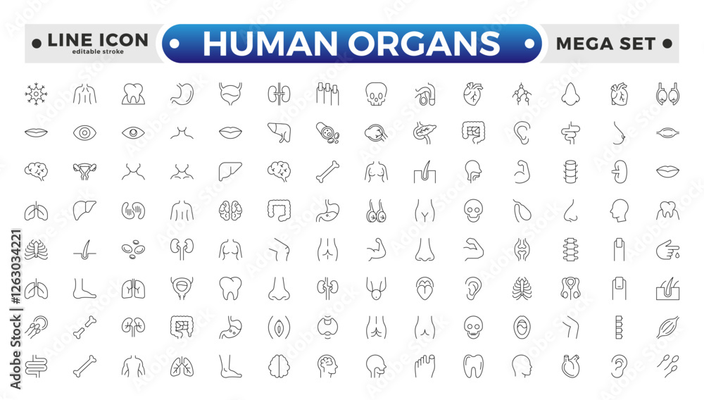 Human Organs outline icon, Organs, anatomy flat line icons set. Human ...