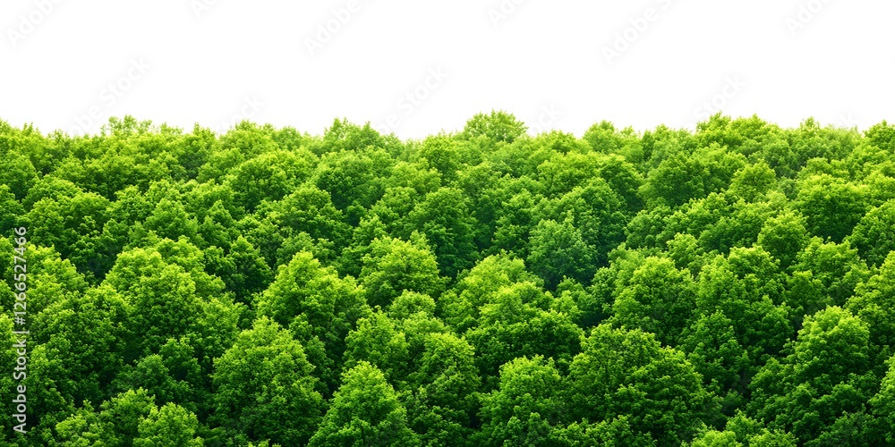 Lush, green tree canopy background for nature concepts, environmental ...