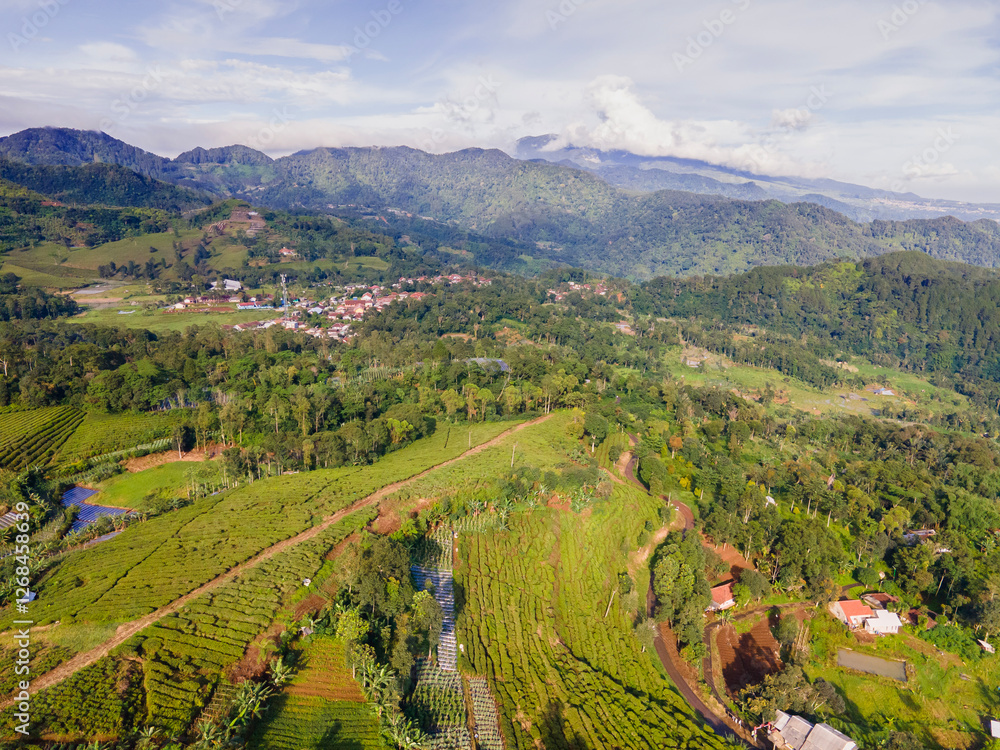 Aerial view of the beauty of rural areas with tea plantations and other ...