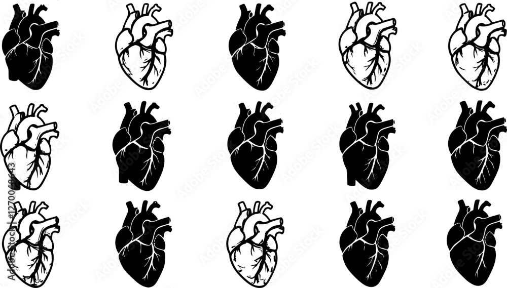 Anatomical heart vector silhouette icon set. heartbeat, cardiovascular ...