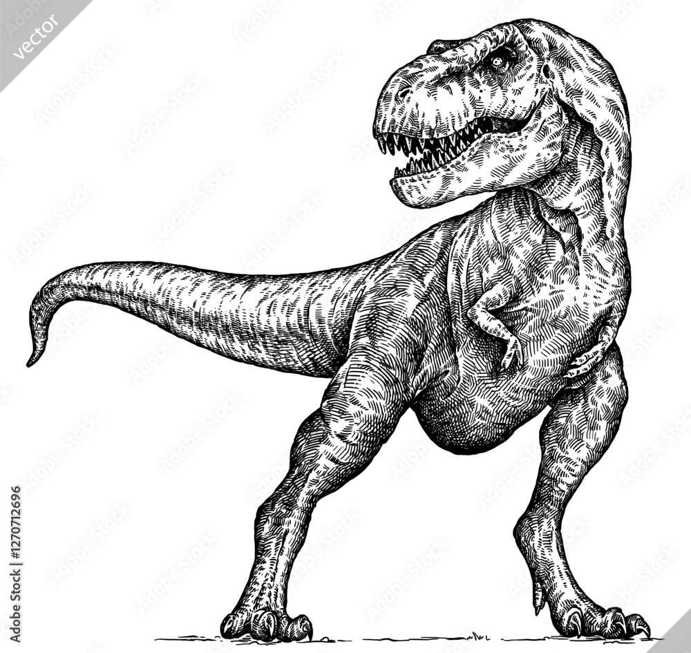 Vintage engraving isolated Tyranosaurus rex set illustration t-rex ink ...