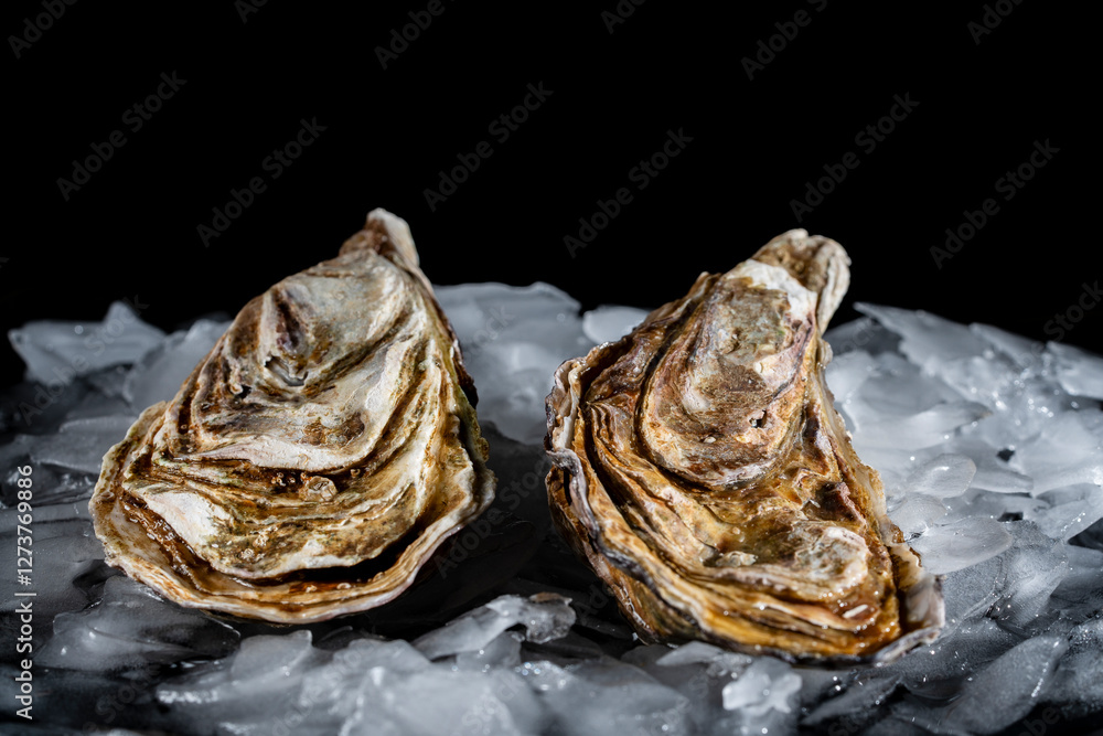Raw two oysters closed in shells on ice on black background, closeup ...