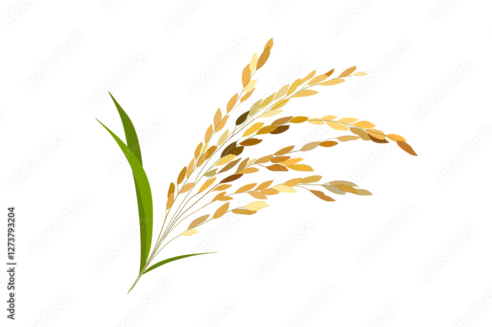 Vector illustration of rice ears, rice that is widely eaten as a staple ...