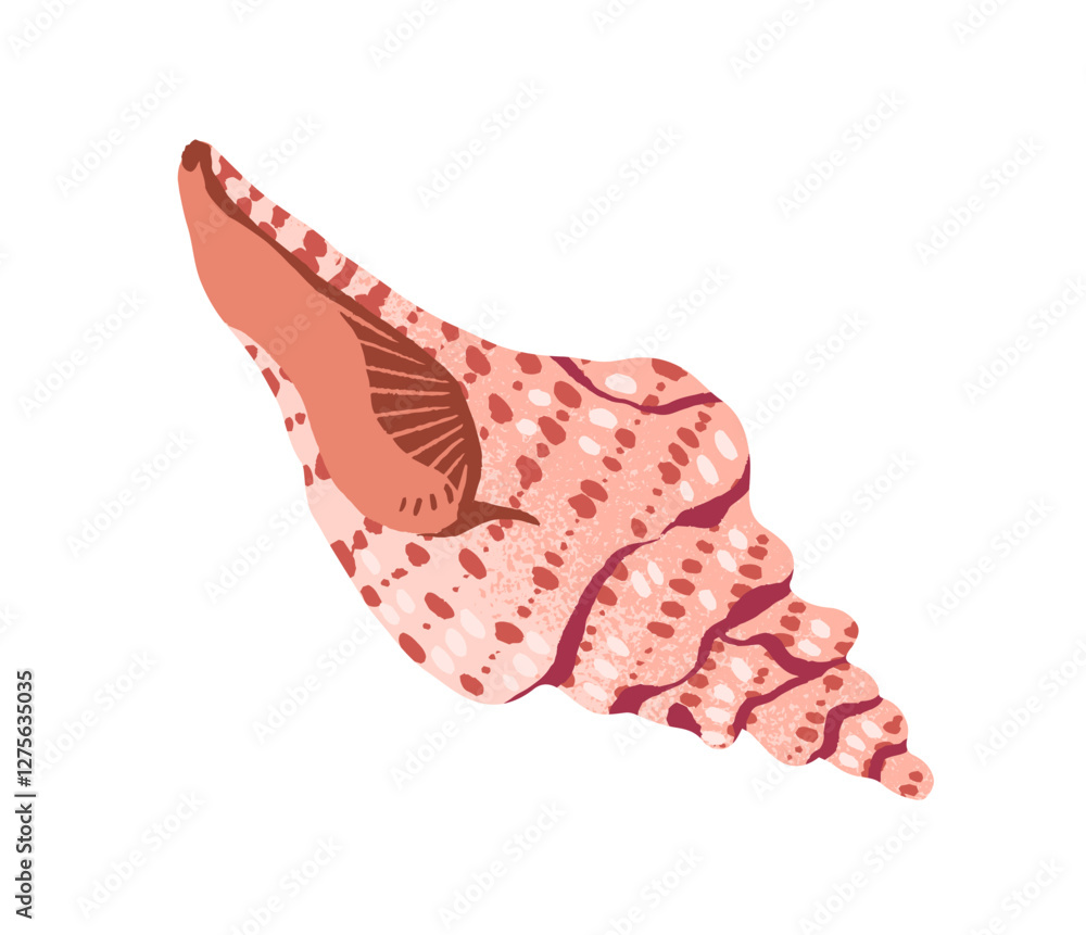 Cute sea shell with spiral shape. Exotic seashell, ornamented mollusk ...