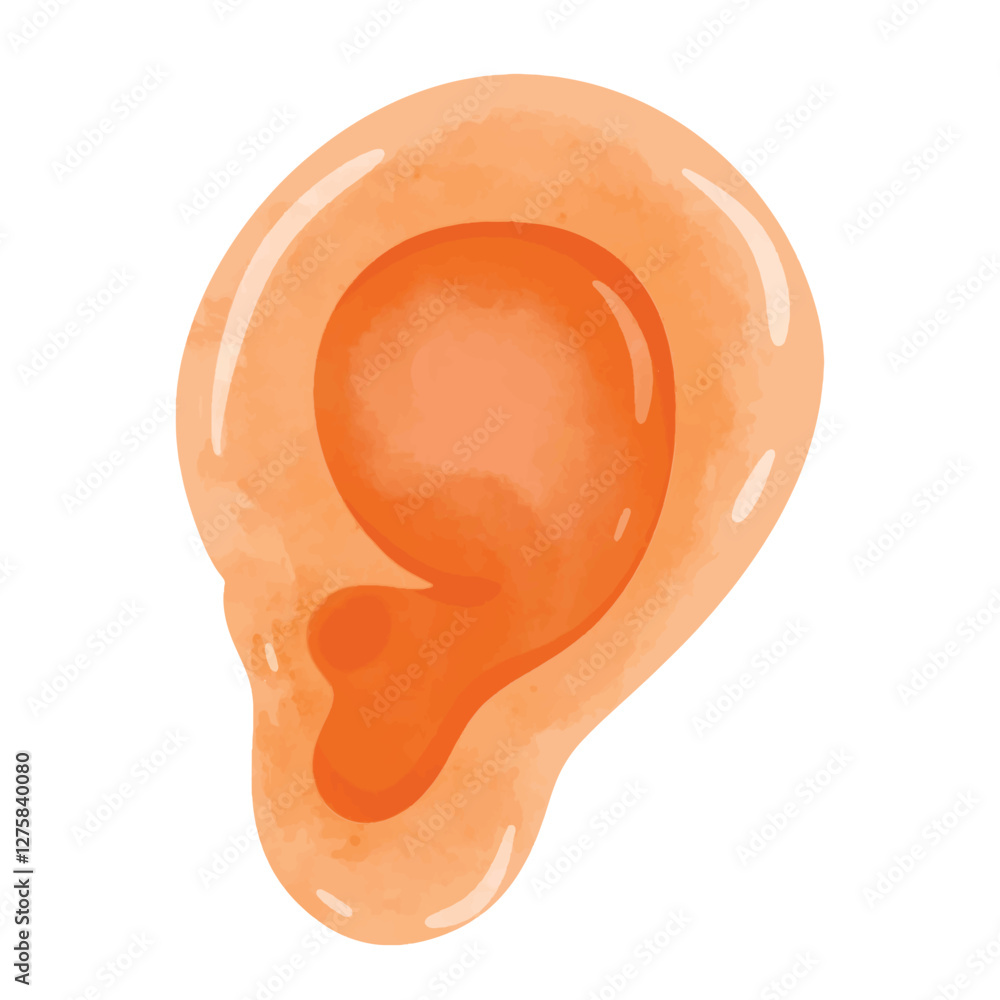 Ear clip art, cartoon ear illustration vector, hand drawn watercolor ...