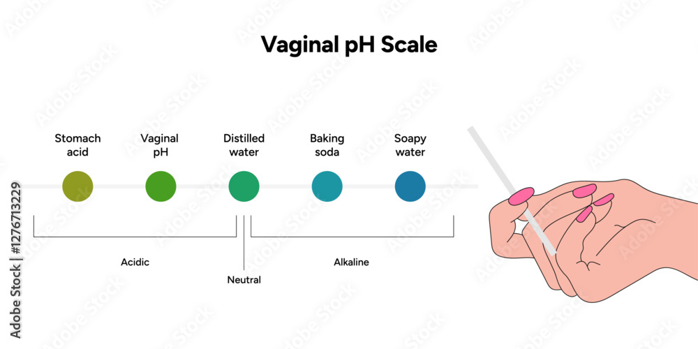 Women female vaginal ph scale balance. Intimacy Acidic, neutral and ...