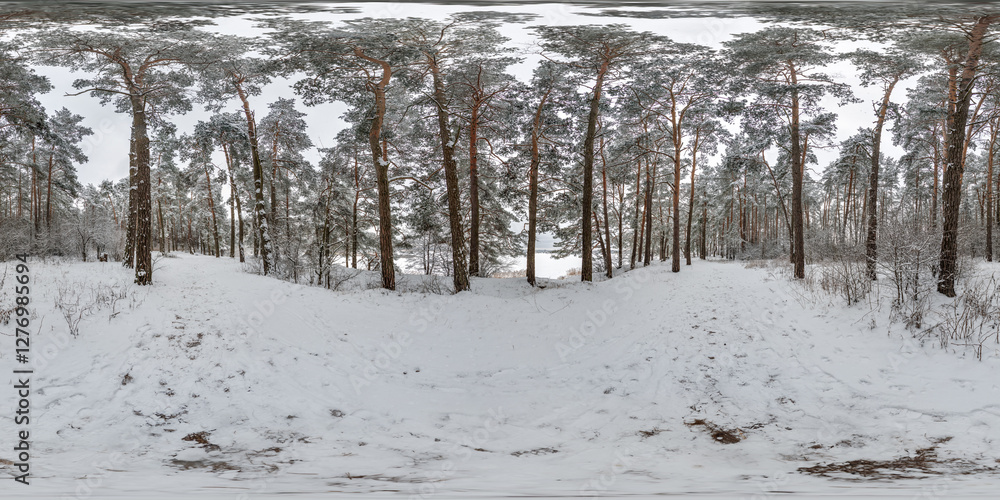 winter full spherical hdri 360 panorama view pedestrian road in snowy ...