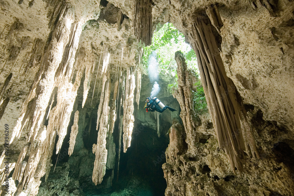 professional scuba diver explores Underwater River, Cenotes in Tulum ...
