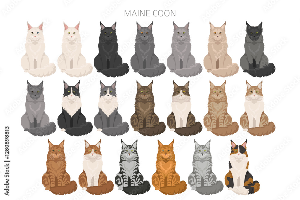 Maine Coon Cat clipart. All coat colors set. All cat breeds ...