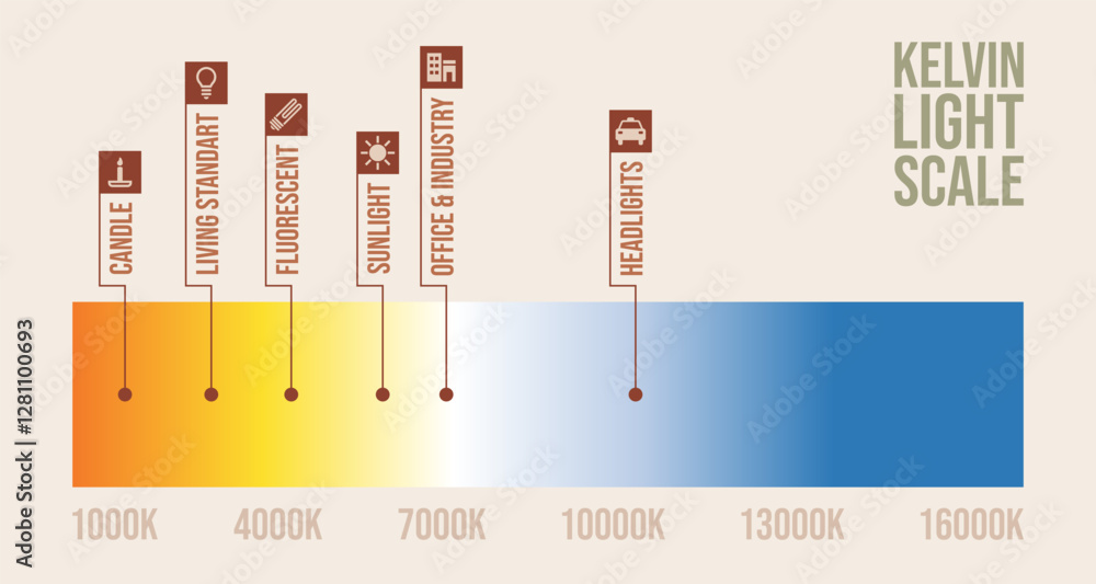 Kelvin light scale infographic vector. Each category is clearly labeled ...