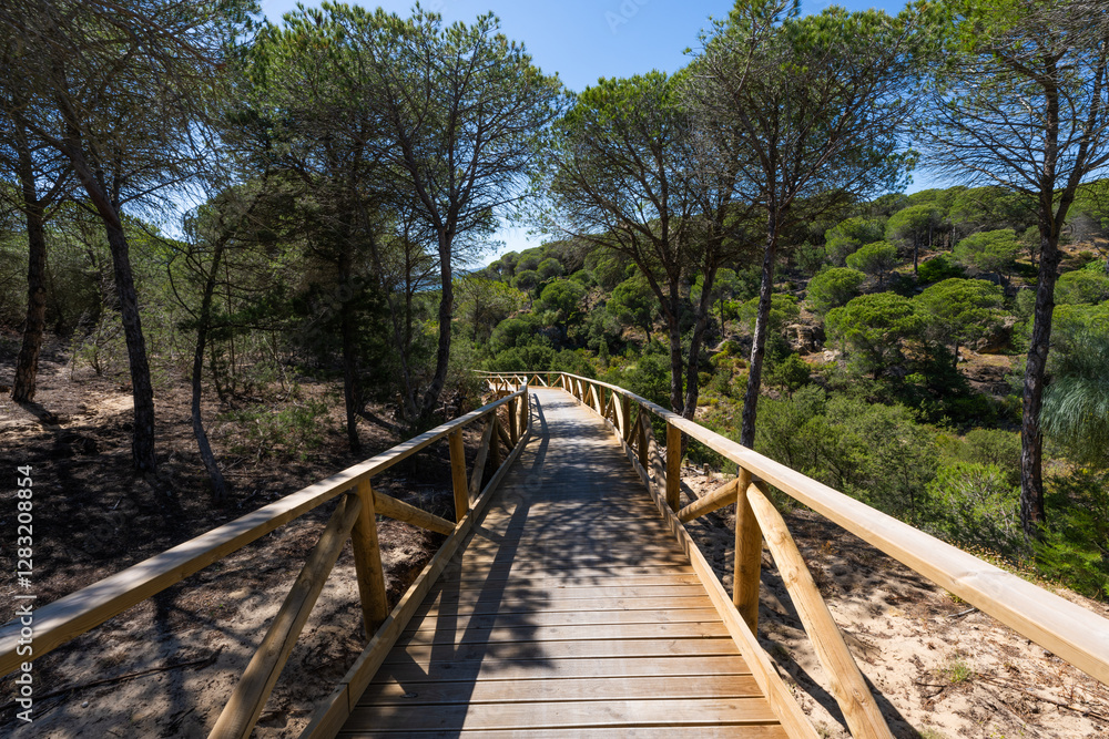 Arco Atantico, Pinar El Chaparral, Parque Natural del Estrecho, Tarifa ...