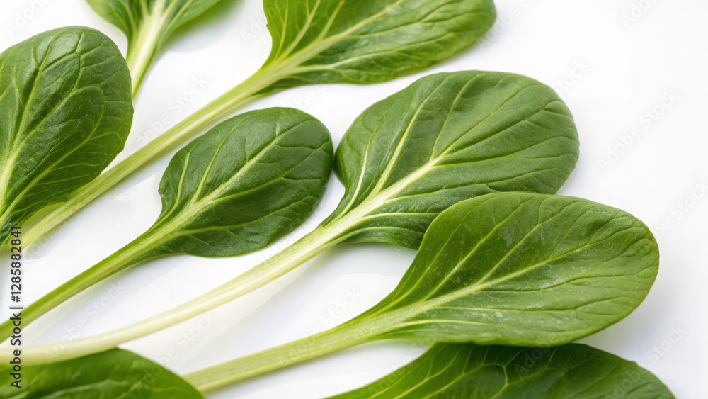 Spoon-shaped tatsoi glows on a white transparent background, Backlight ...