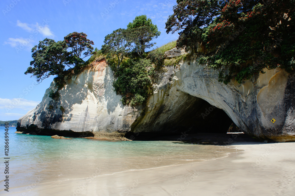 Cathedral Cove, nestling on the Coromandel Peninsula, is often regarded ...