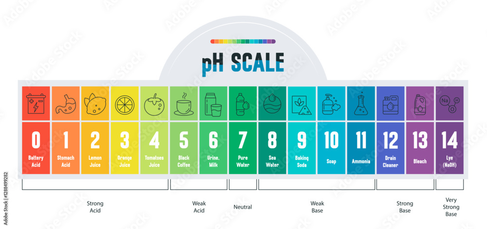 pH scale design. Color indicator Stock Vector | Adobe Stock
