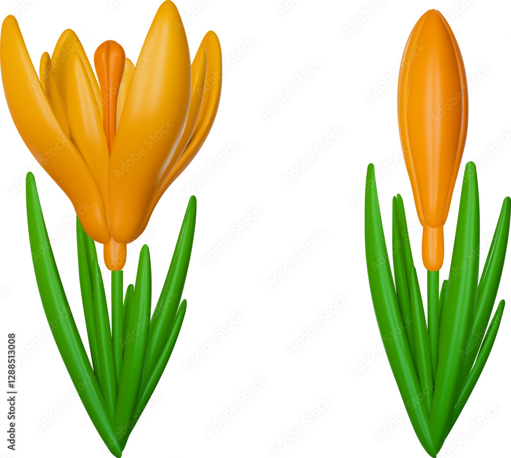 Spring flower crocus with open and closed buds in yellow color. Set ...