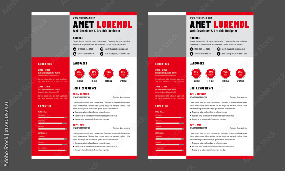 Resume CV. clear and modern professional resume CV template Stock ...