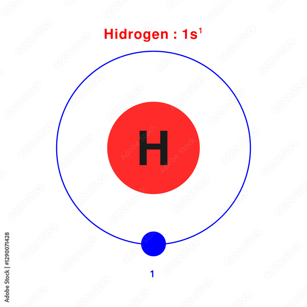 Bohr model of the Hydrogen atom. electron structure of Hydrogen Stock ...
