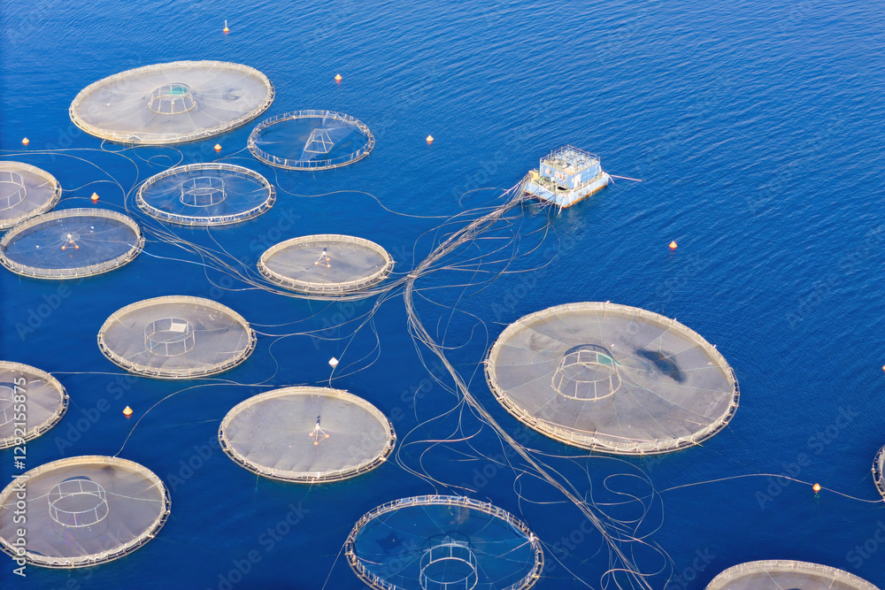 Offshore aquaculture fish farm with lots of fish cages in sea. Global ...