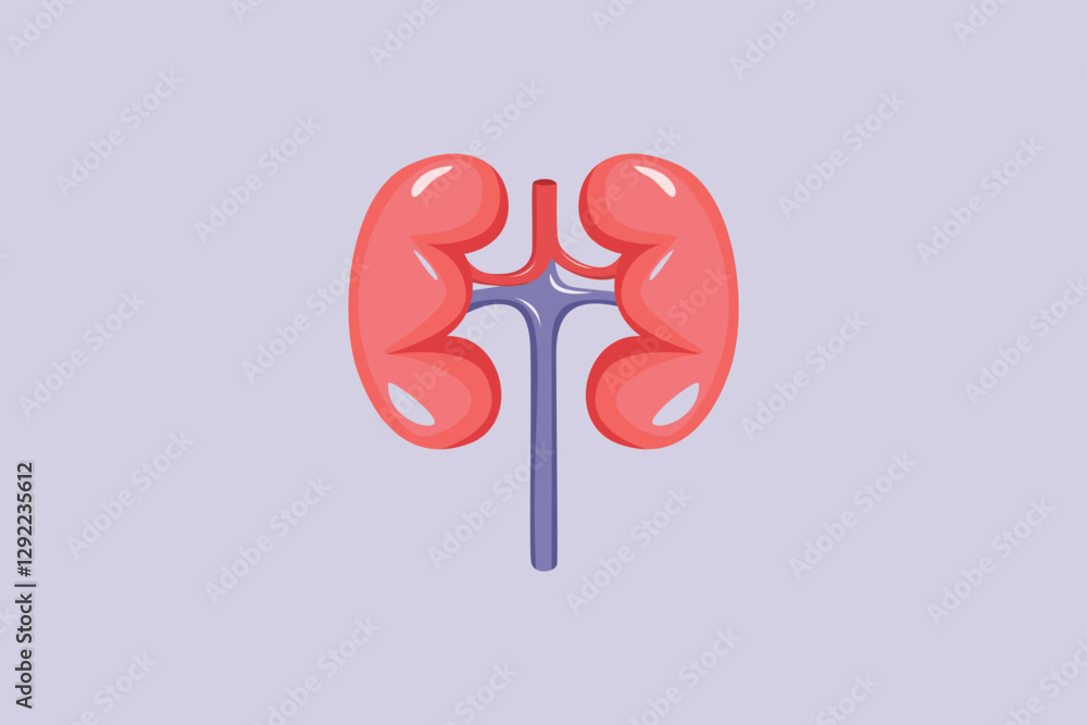 Human body anatomy concept. Colored flat vector illustration isolated ...