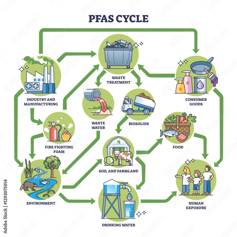 PFAS cycle diagram shows the flow from industry to human exposure ...
