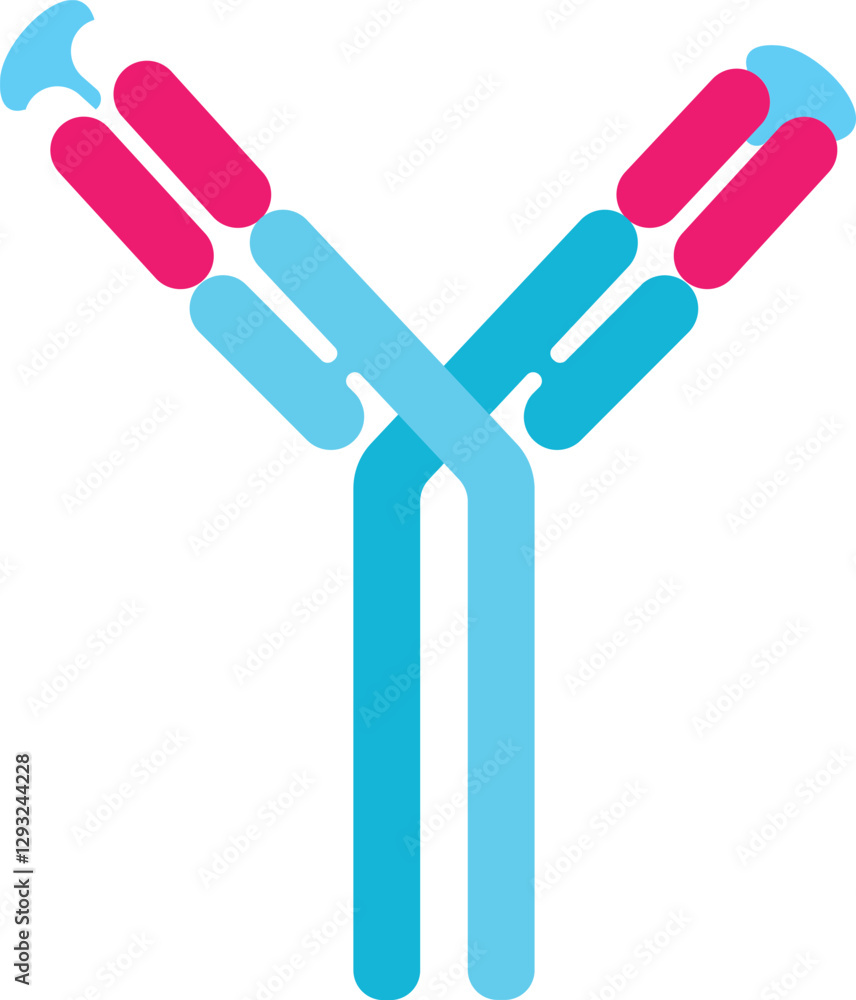Antibody Design Vector illustration. Types of antibodies and ...