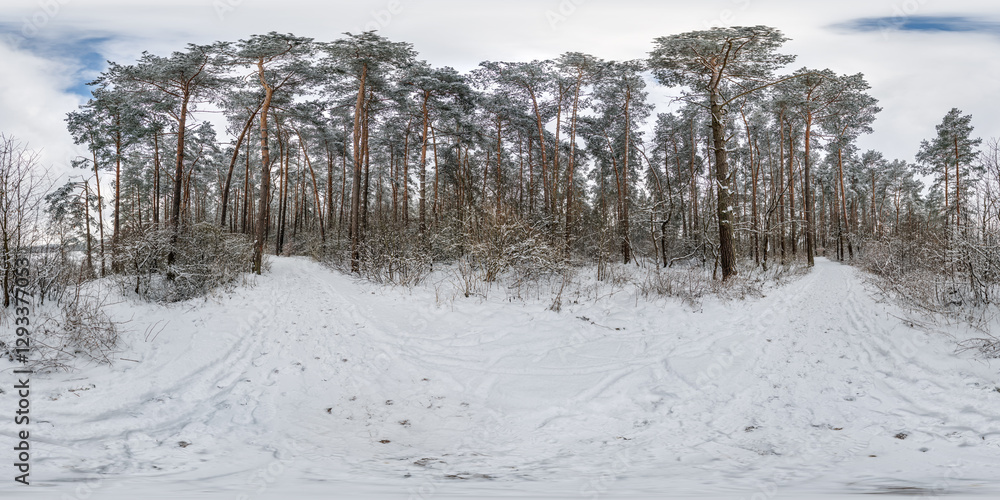 winter full spherical hdri 360 panorama view pedestrian road in snowy ...