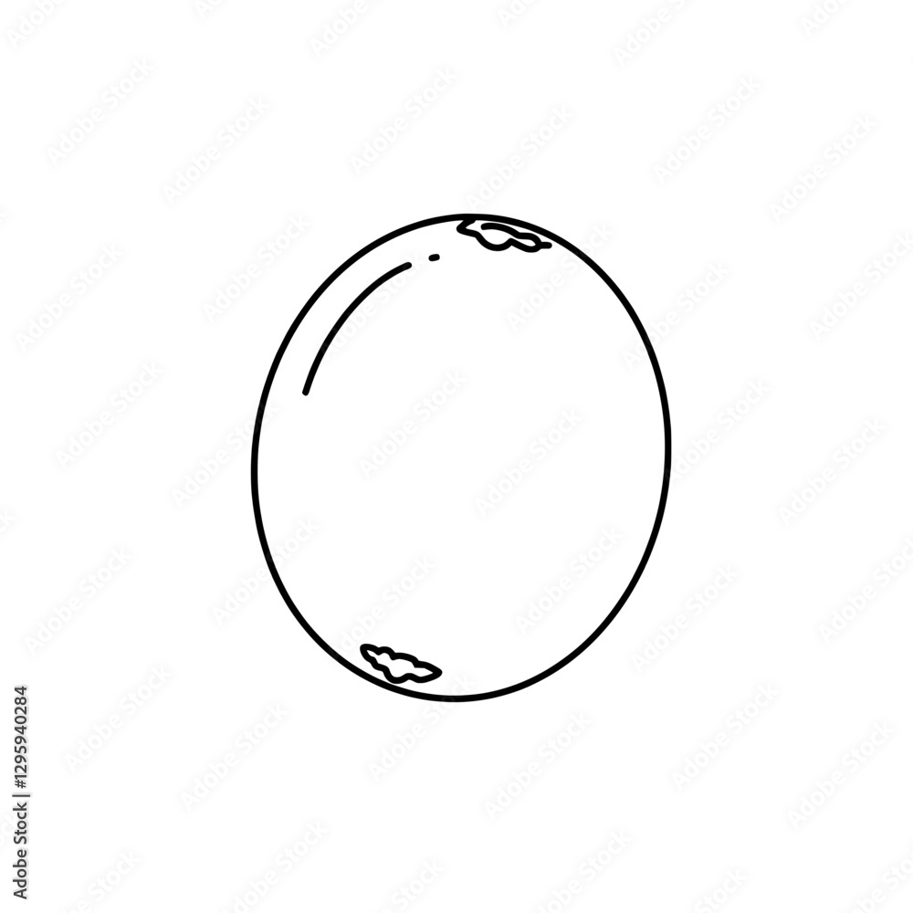 Coconut Sketch: A simple, elegant sketch of a coconut, showing its ...