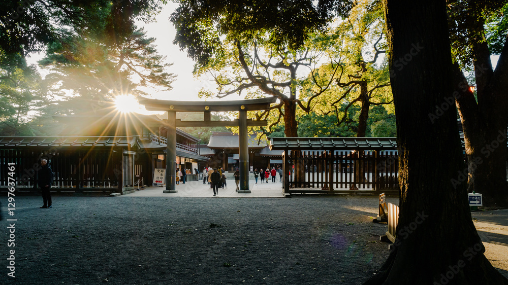 Tokyo , Japan -13 Feb 2025: Crowded People Walking Towards The Torii ...