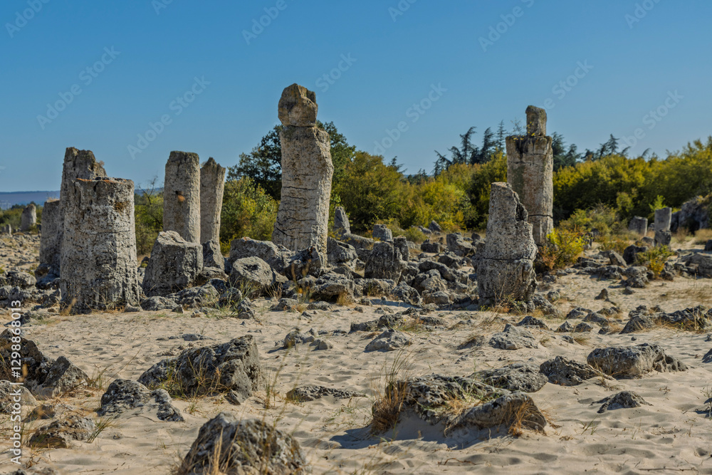 This extraordinary natural phenomenon features a vast expanse of ...
