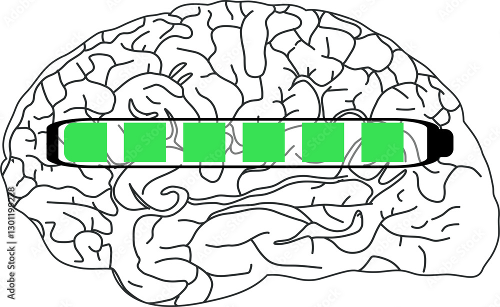 The image shows a black and white illustration of the brain with a ...