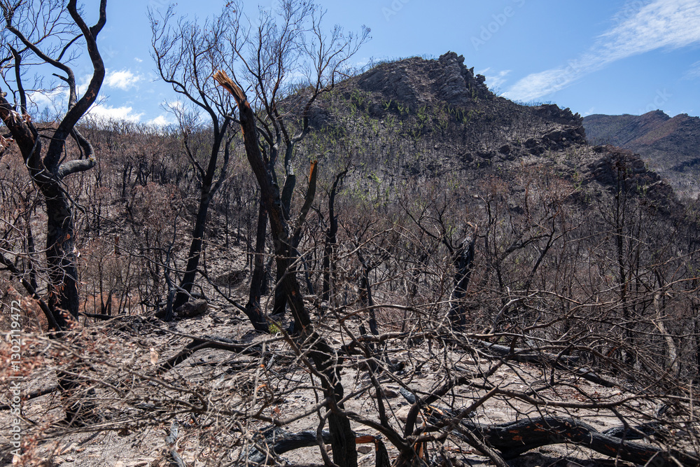 Bushfire damage from the 2025 bushfires started by lightning strikes in ...