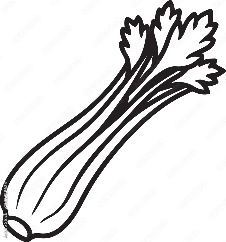celery vegetable line art, black outline, vector and illustration ...