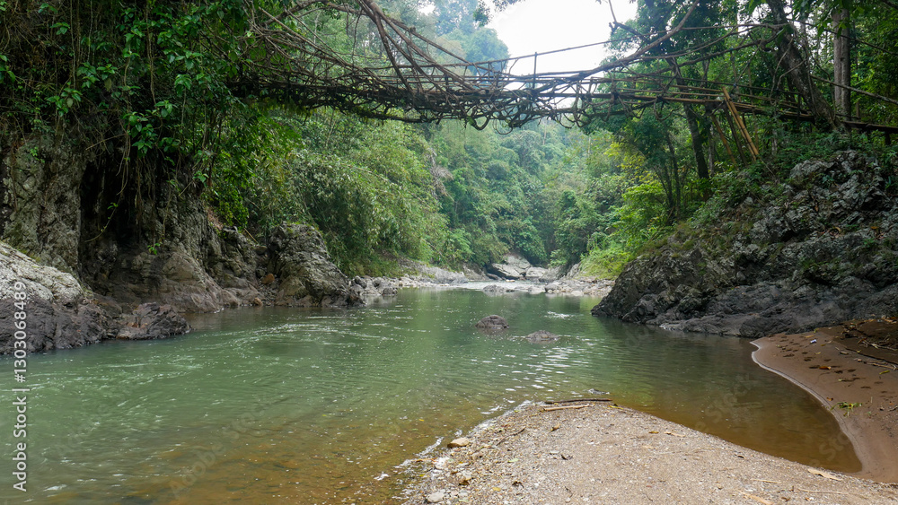 The iconic Baduy root bridge spanning the Cisimeut River is a symbol of ...