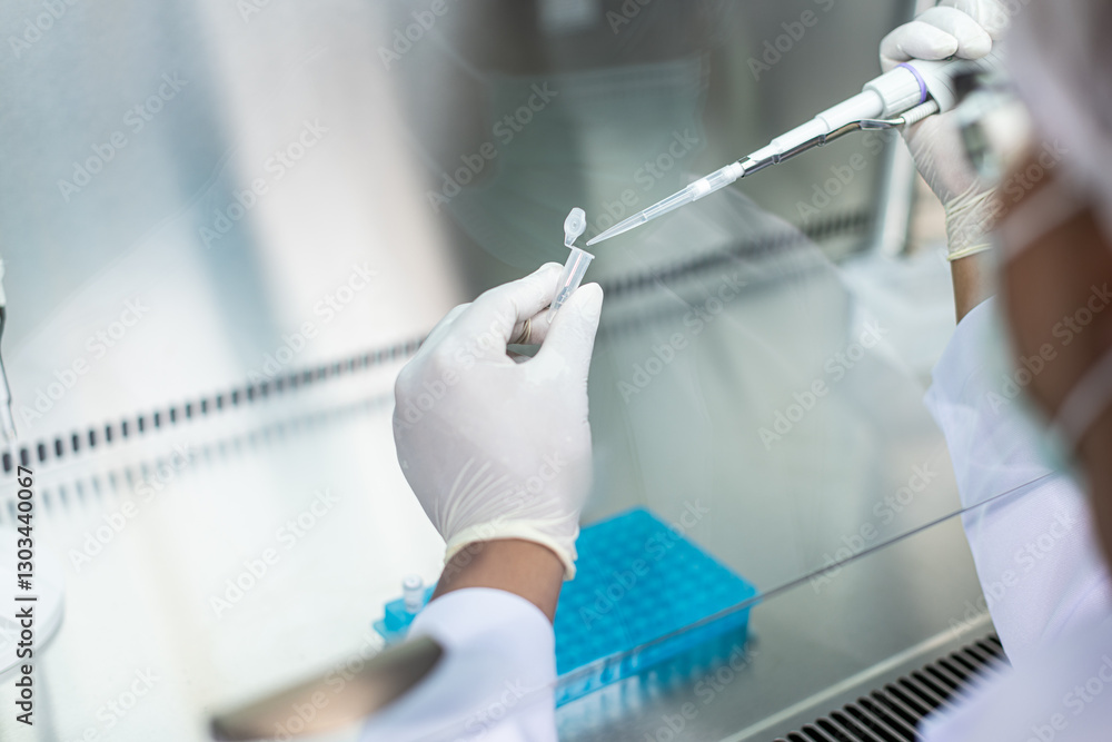 Pcr testing procedures in a laboratory setting a detailed insight into ...