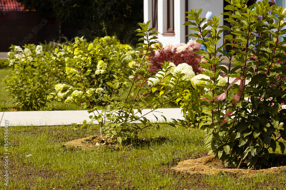 Raised flower bed design with multiple levels. Landscaping on a new ...