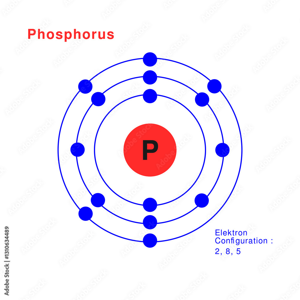 Bohr model of the Sodium atom. electron structure of Sodium Stock ...