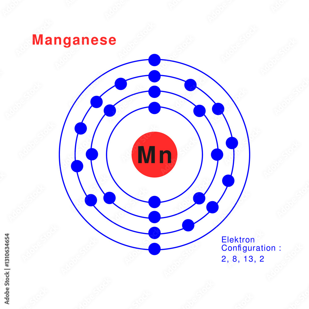 Bohr Model Of The Manganese Atom Electron Structure Of Manganese Stock Vector Adobe Stock