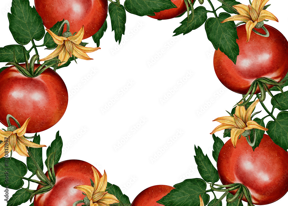 Watercolor frame with tomatoes, leaves and flowers. Ideal for menus ...