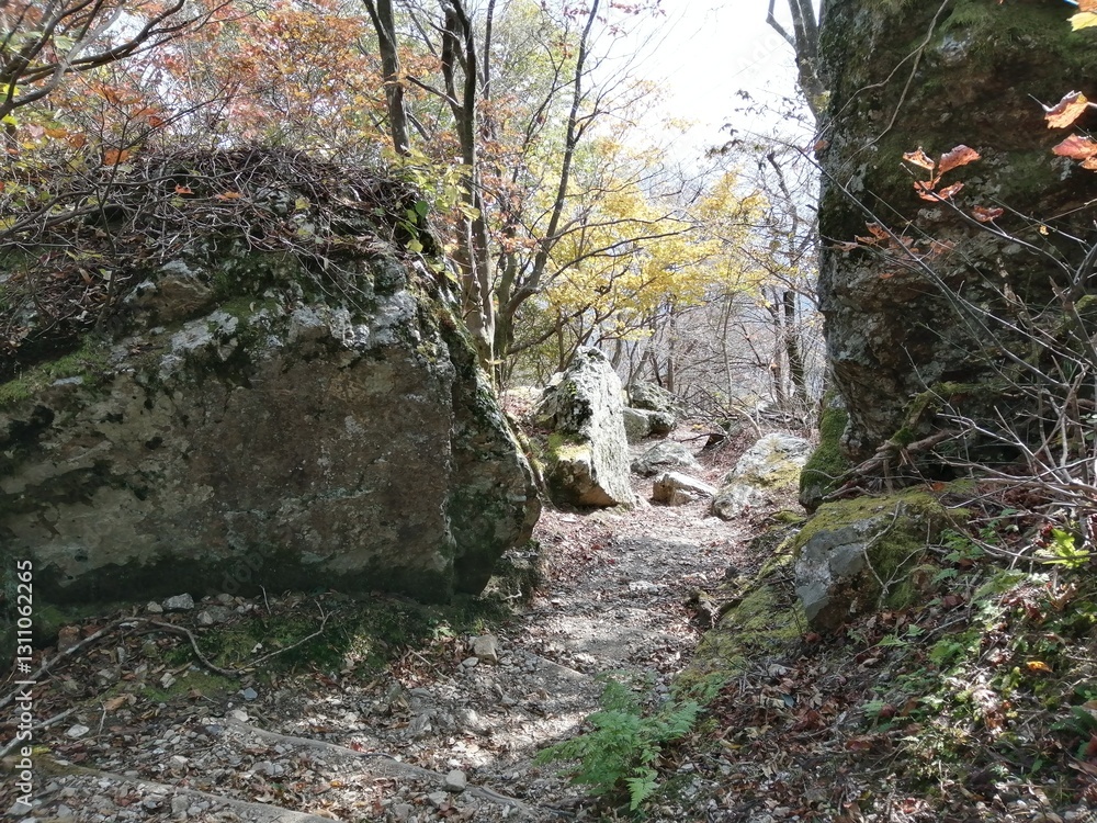 This is Mount Atago in Kyoto, Japan. At the top is Atago Shrine, where ...