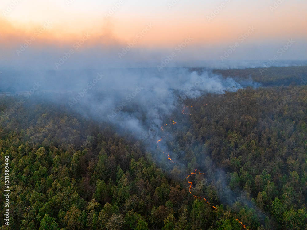 Aerial view of a destructive forest fire, releasing harmful emissions ...