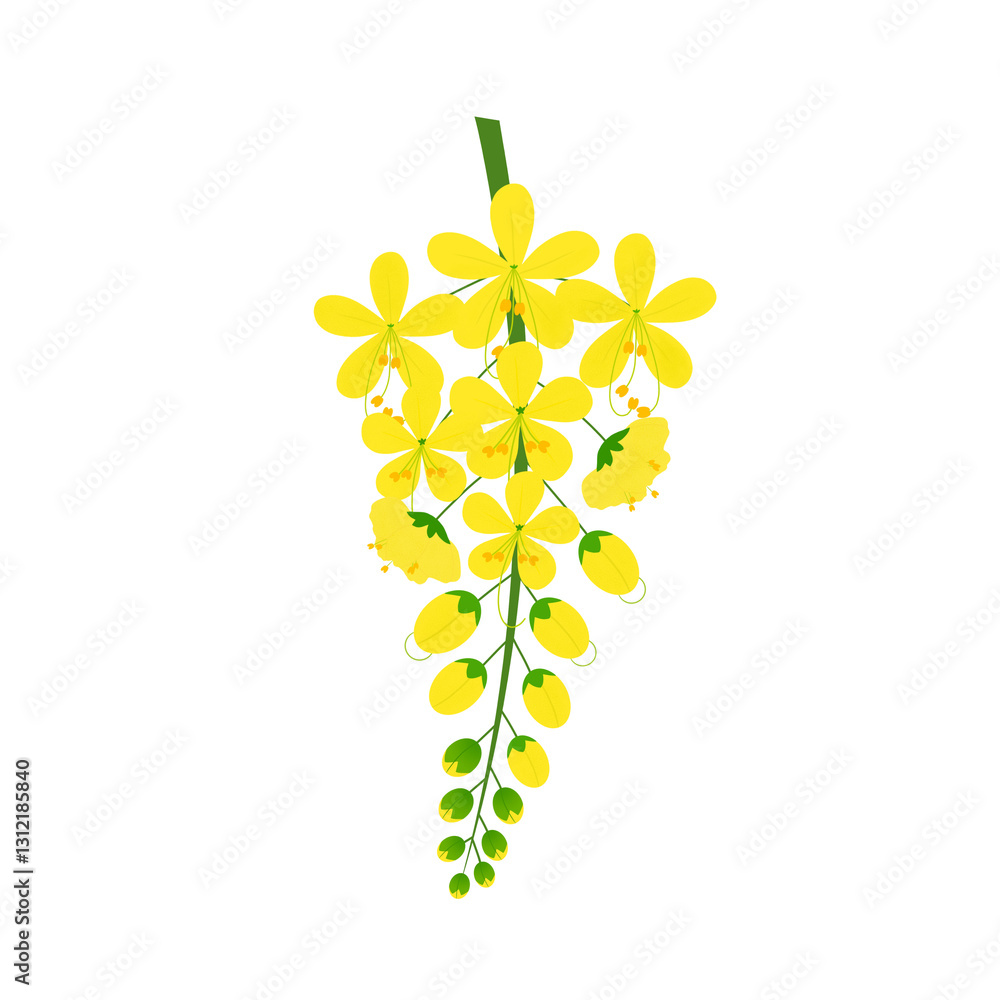 Kanikonna, konna poovu or cassia fistula also called golden showers ...