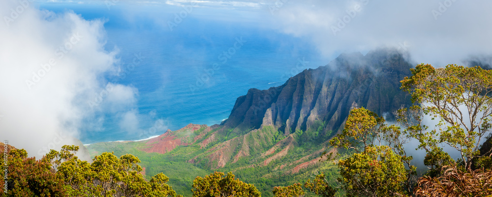 At almost 4,000 feet high, this lookout point in Kokee State Park ...
