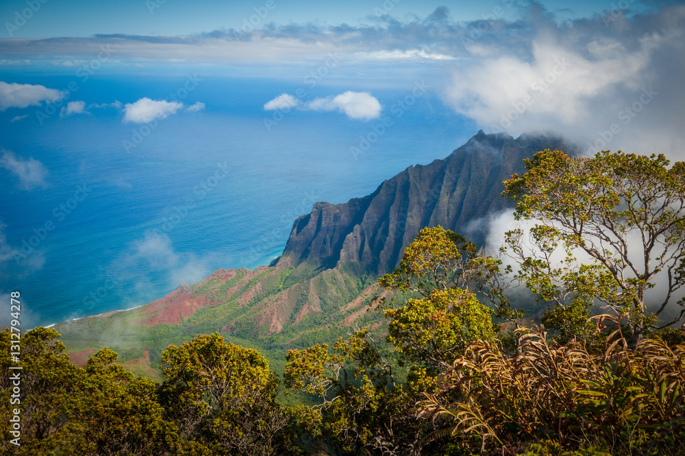 Foto de Stock At almost 4,000 feet high, this lookout point in Kokee ...