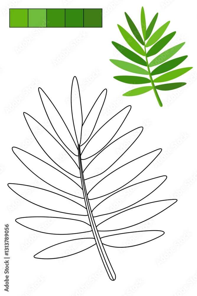 Coloring page whit tropical leaf for coloring book about exotic plants ...
