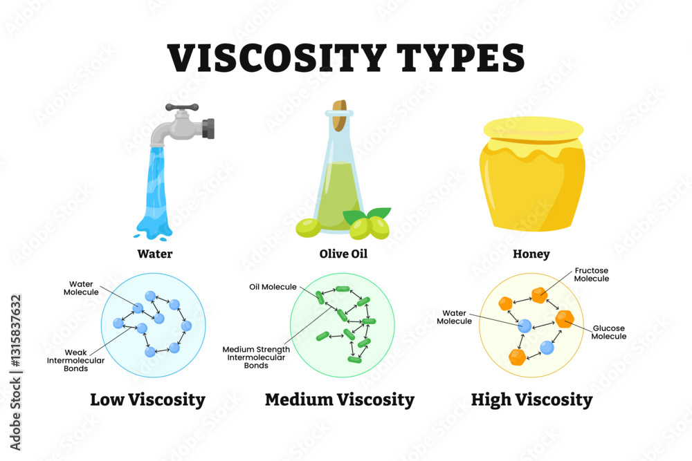 Different types of viscosity types. Fluid's resistance to flow. Labeled water, olive oil, honey ...