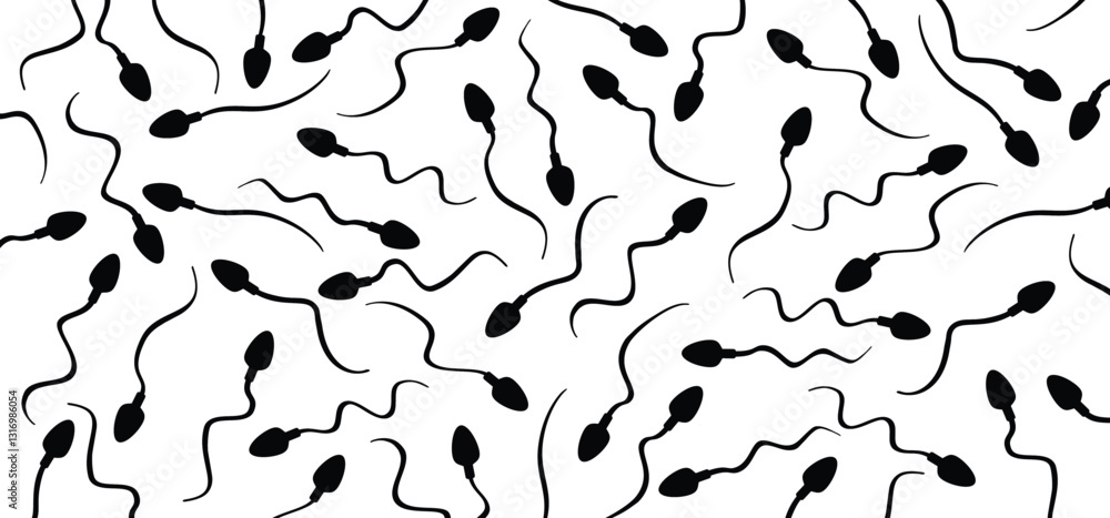 Normal spermatozoide. Cartoon sperm morphology. Basic sperm cell ...