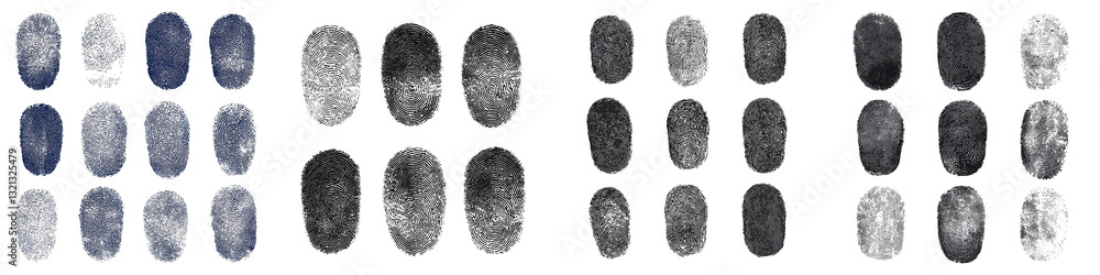 Comprehensive collection of detailed fingerprint patterns and textures ...