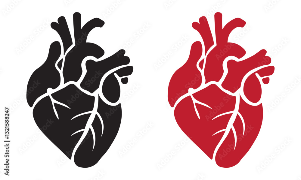 Anatomical heart vector illustration – black and red human heart ...